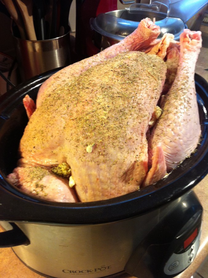 Year-Round Turkey – Classy Frugality